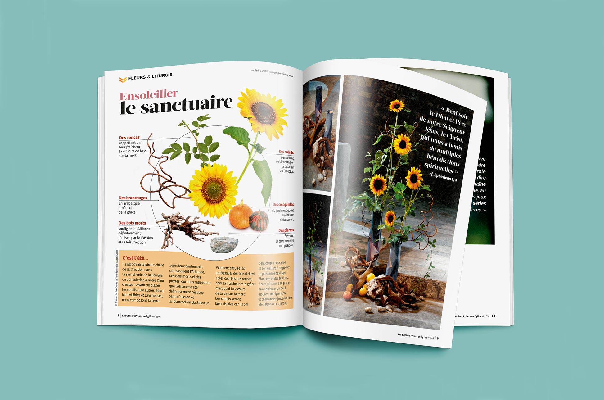 REVUES BAYARD PRESSE – Alexia Féron